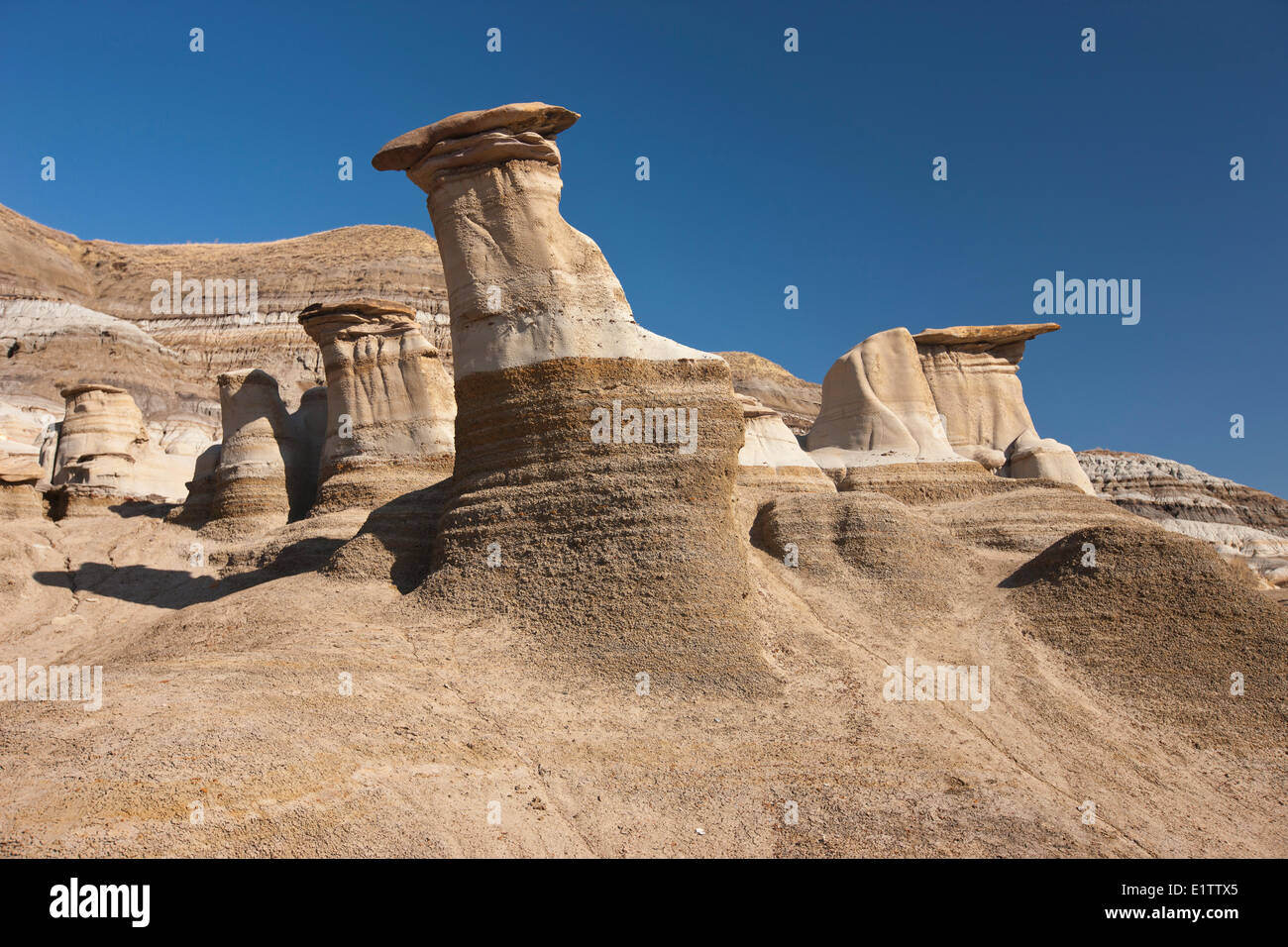 Hoodoos alberta hi-res stock photography and images - Alamy