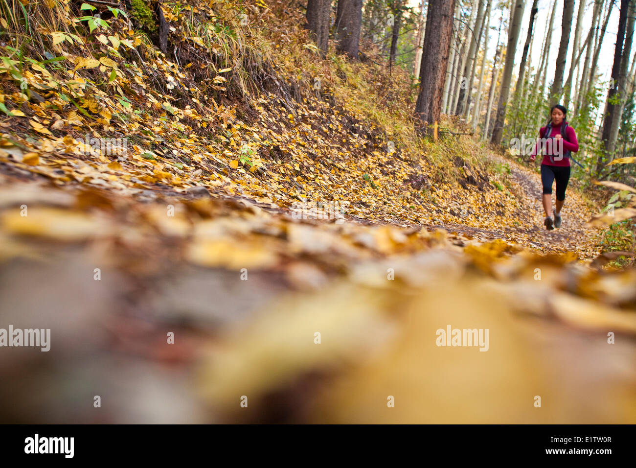 A young, fit woman trail running the Highline trail in Canmore, AB ...