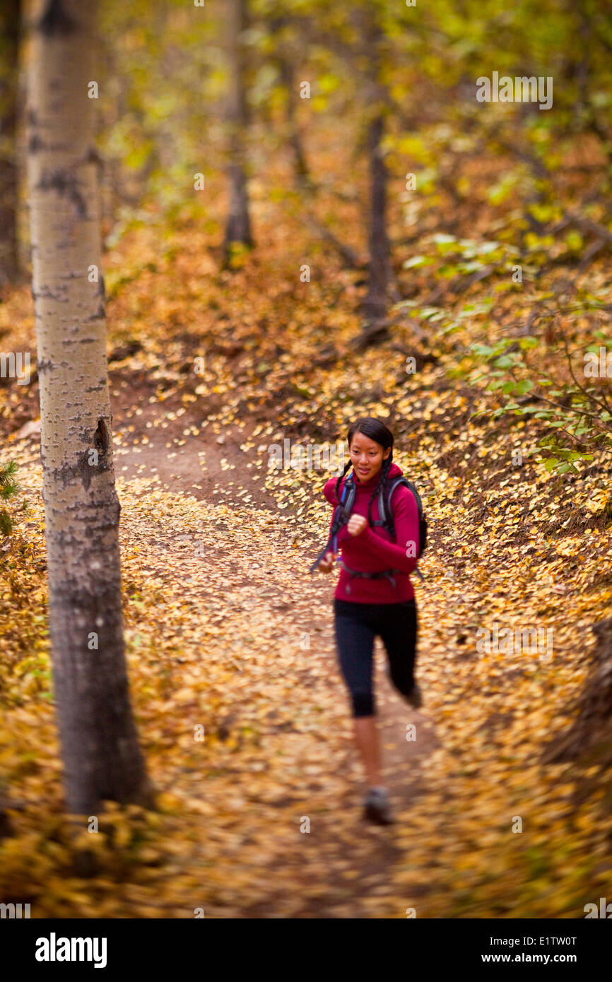 A young, fit woman trail running the Highline trail in Canmore, AB ...