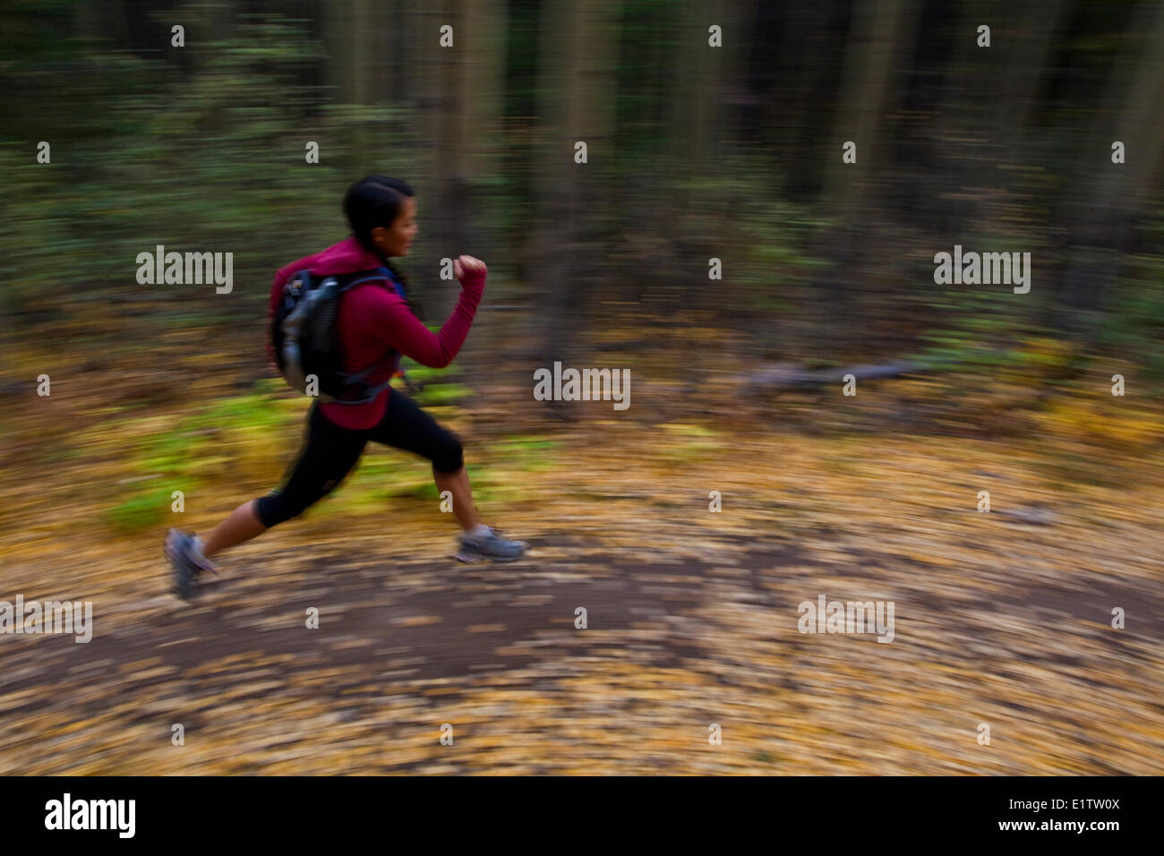 A young, fit woman trail running the Highline trail in Canmore, AB ...