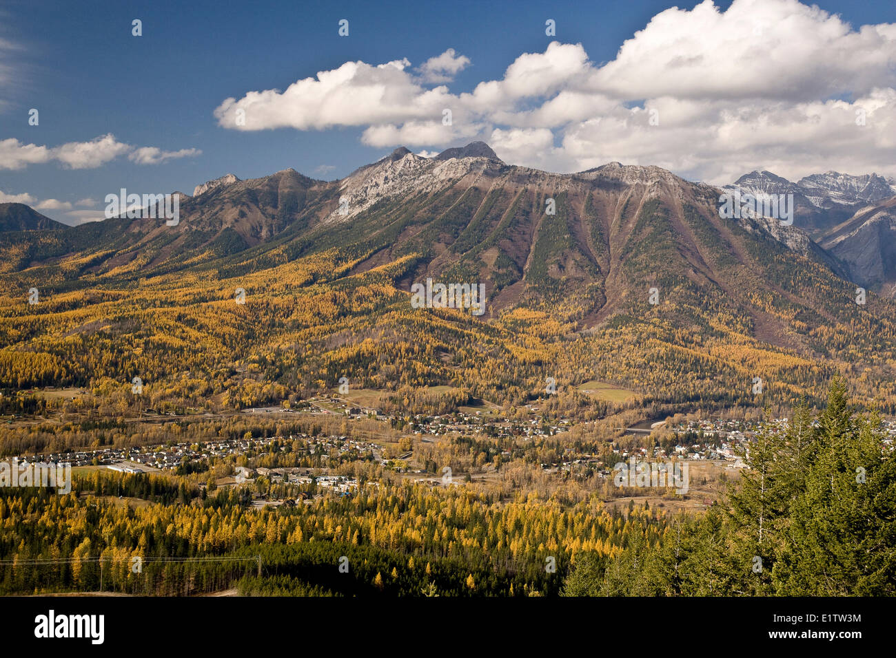 Fernie hi-res stock photography and images - Alamy
