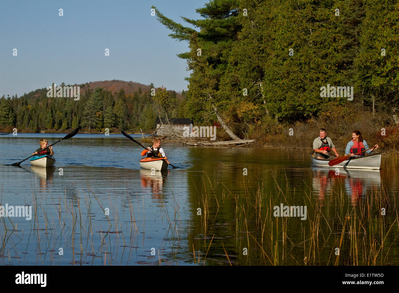 Family canoeing on Source Lake, Algonquin Park, Ontario, Canada Stock ...