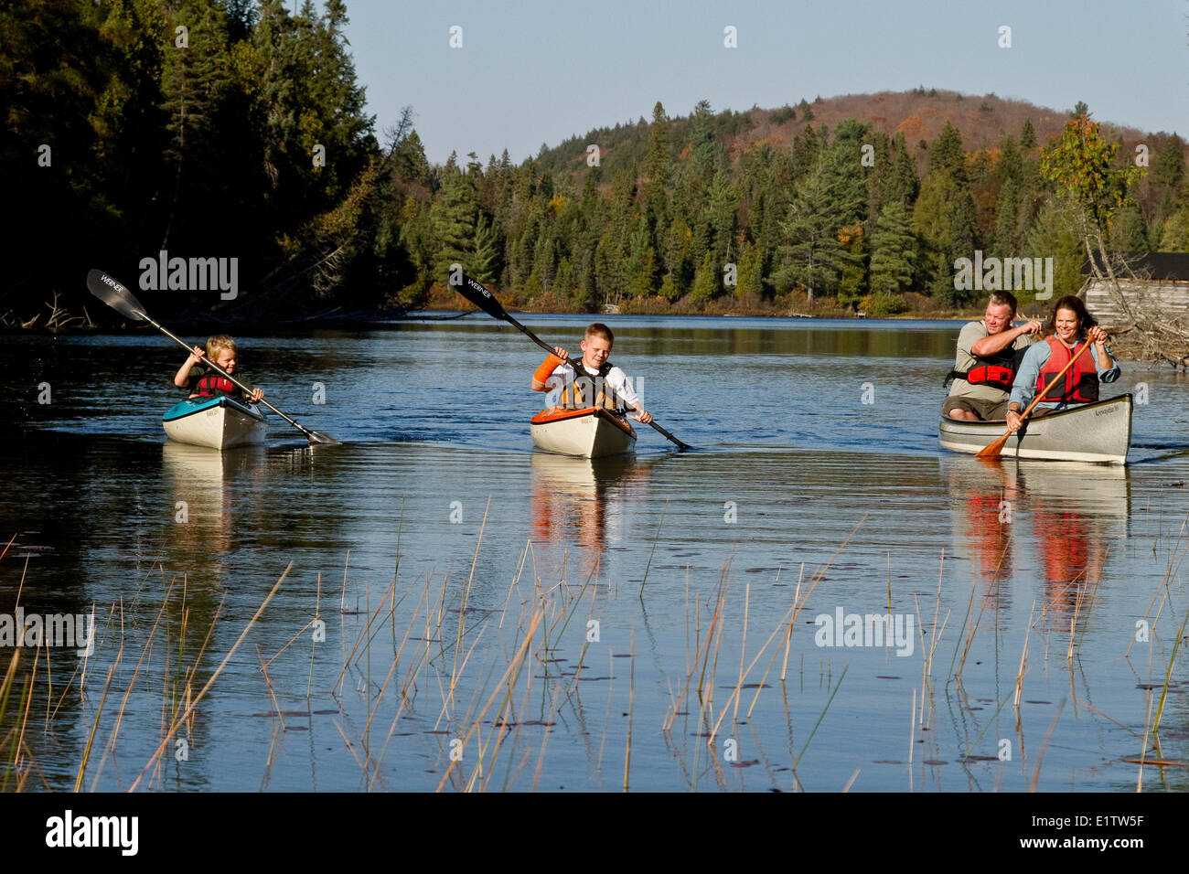 Family canoeing on Source Lake, Algonquin Park, Ontario, Canada Stock ...