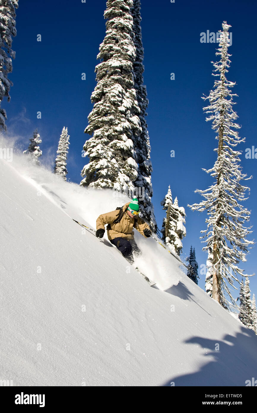 Young man skiing deep powder at fernie alpine resort hi-res stock ...