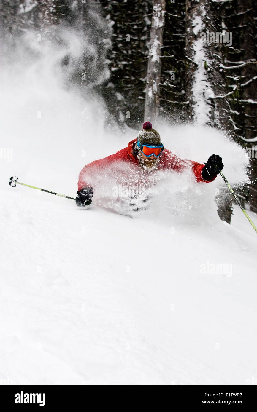 Bearded man skiing deep powder at Fernie Alpine Resort, Fernie, BC ...
