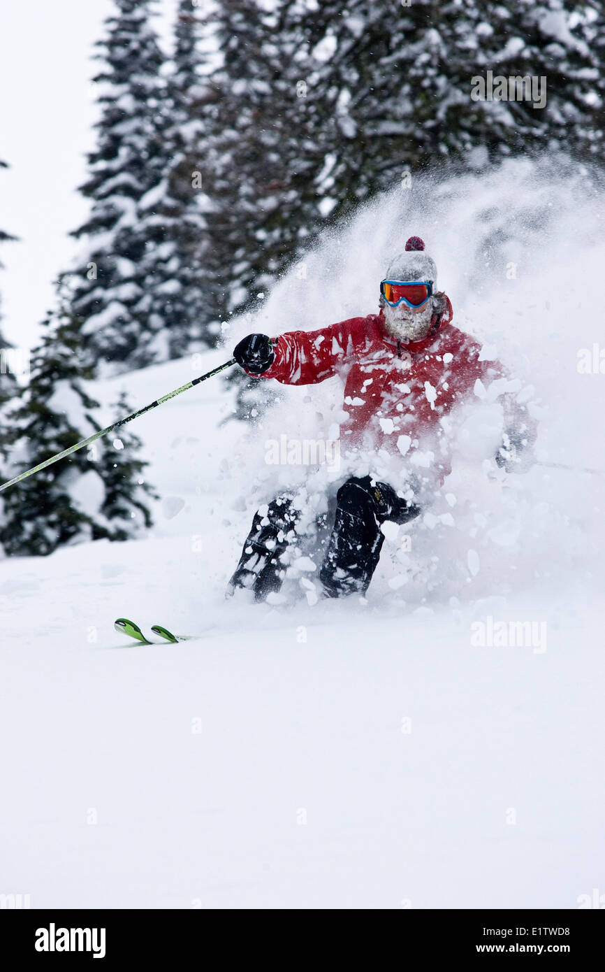 Bearded man skiing deep powder at Fernie Alpine Resort, Fernie, BC ...