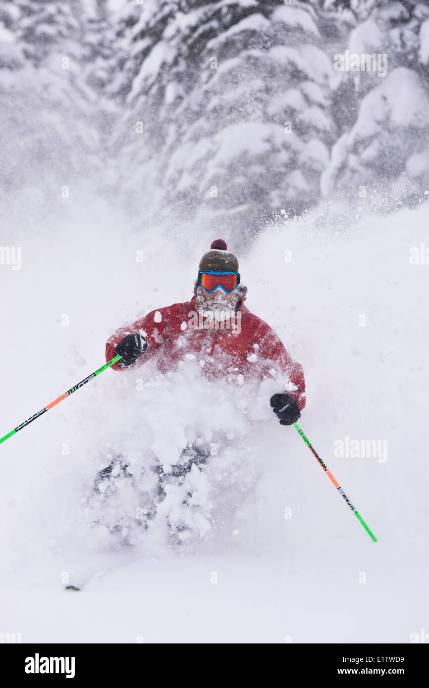 Bearded man skiing deep powder at Fernie Alpine Resort, Fernie, BC ...