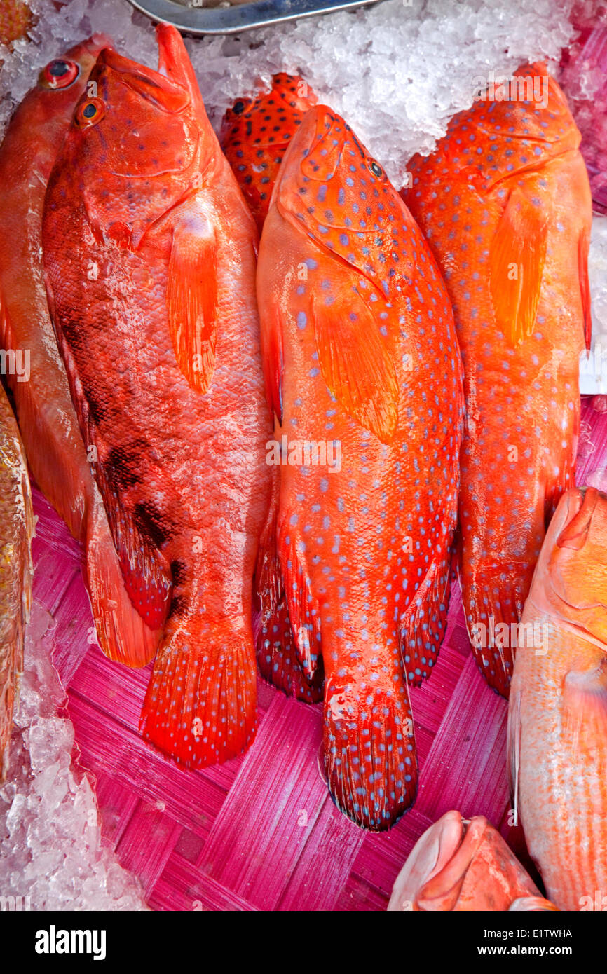 Food market kuching hi-res stock photography and images - Alamy