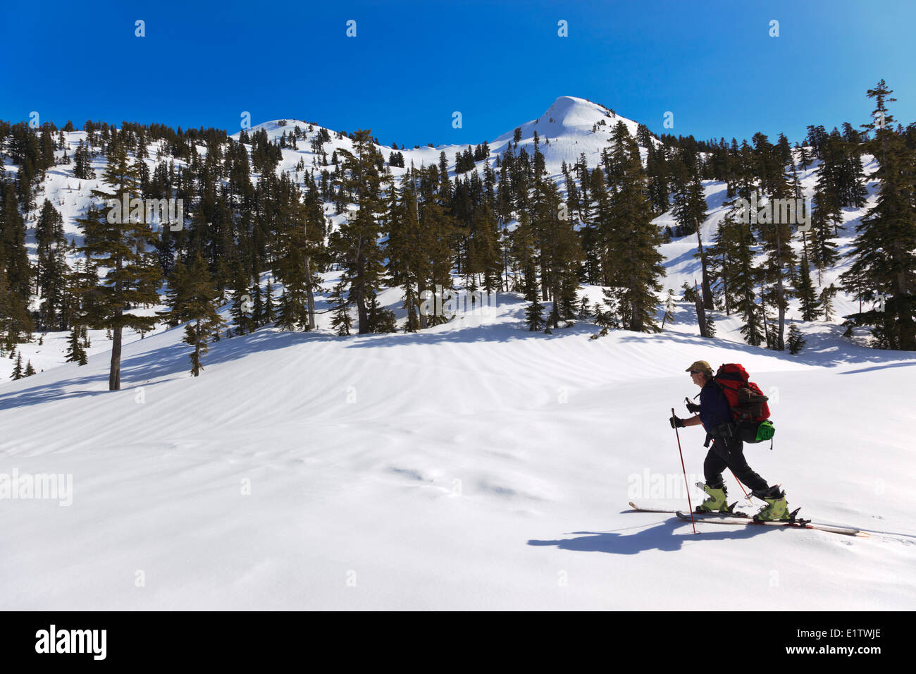 A skier ascends the trail to Edwards Lake cabin enroute to Mt. Steele ...