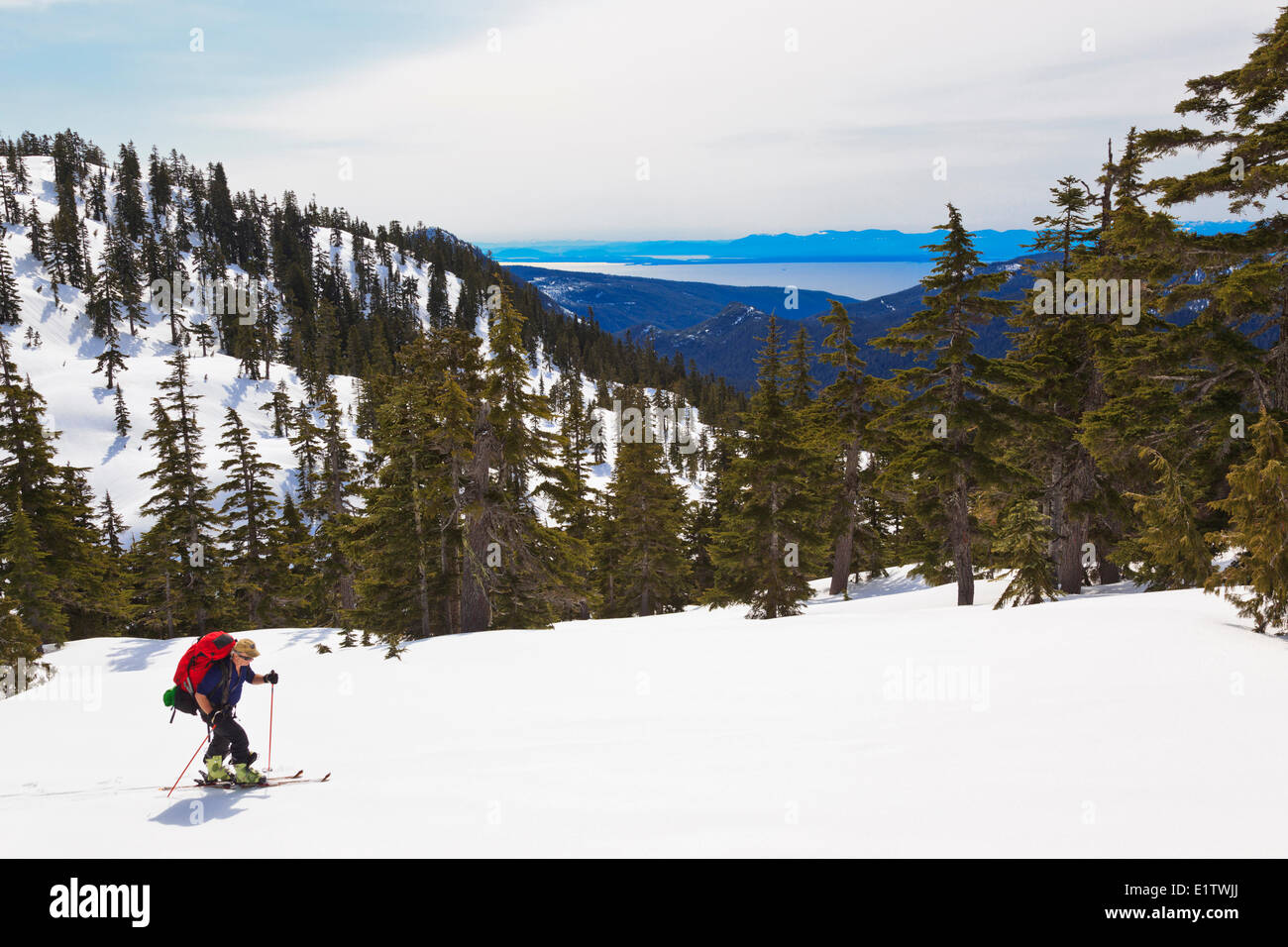 A skier ascends the trail to Mt. Steele cabin in Tetrahedron Provincial ...