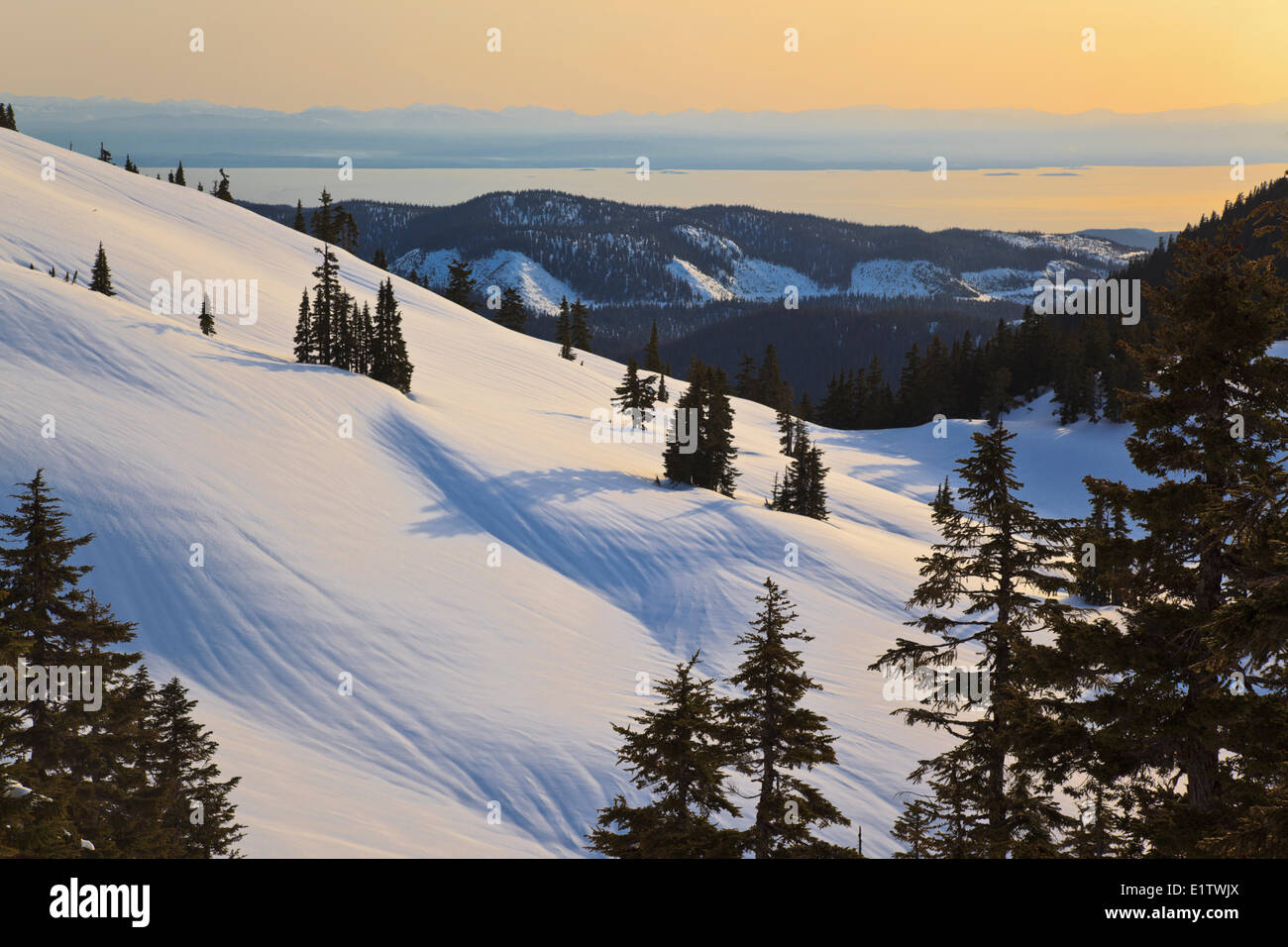 Evening light warms the slopes near Mt. Steele cabin in Tetrahedron ...