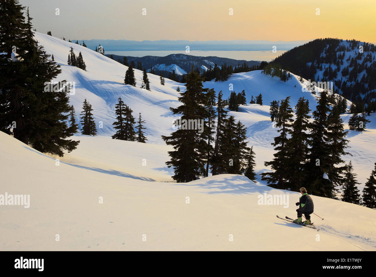 A skier descends the slope below Mt. Steele in Tetrahedron Provincial ...