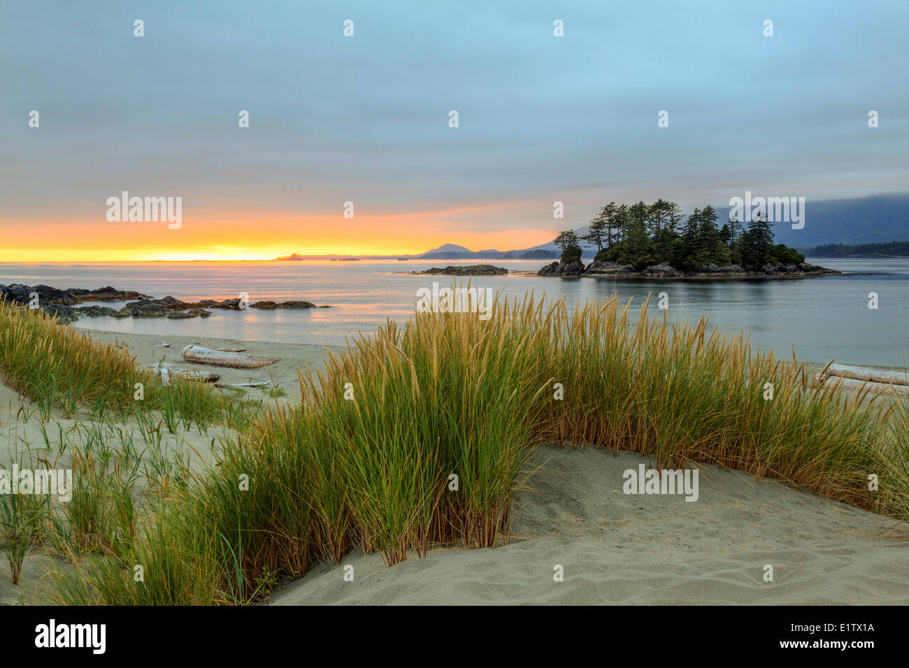 Vancouver island beach sunset view hi-res stock photography and images ...