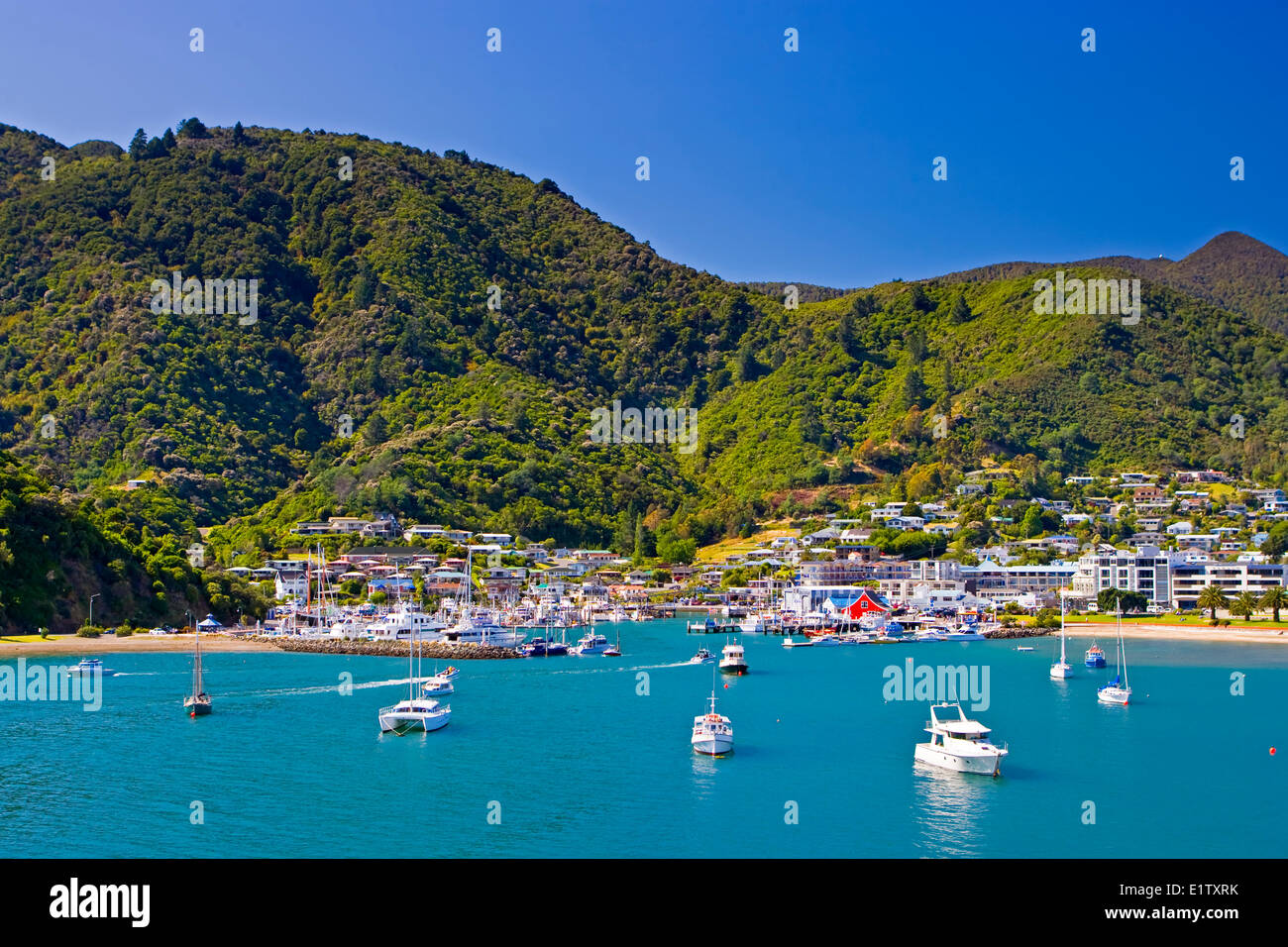 Picton harbour new zealand hi-res stock photography and images - Alamy