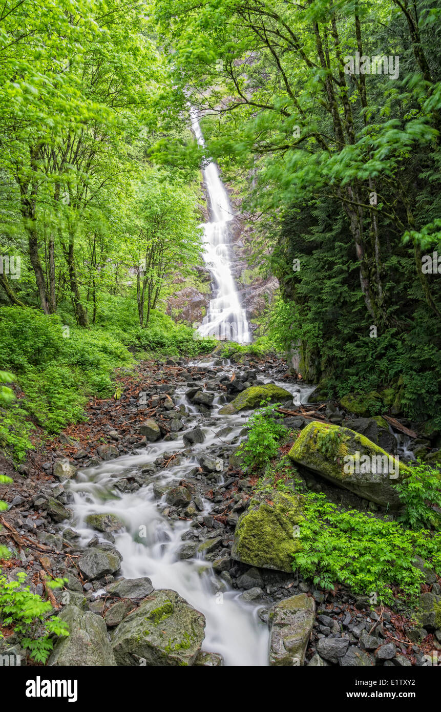 Flood falls near Hope, British Columbia, Canada Stock Photo - Alamy