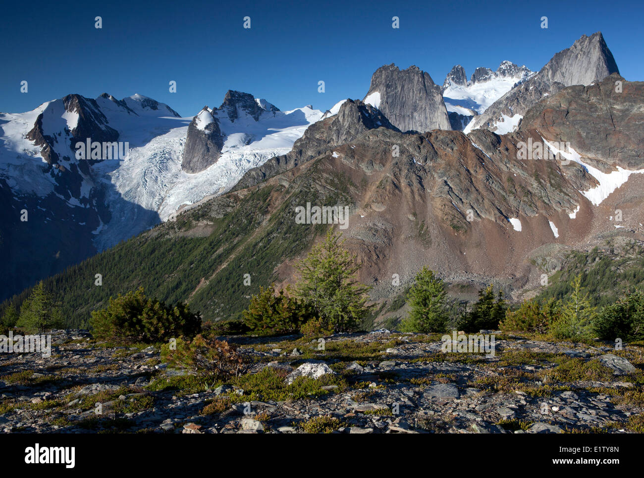 Hound's Tooth Snowpatch Spire Bugaboo Spire Howser Towers Bugaboo ...