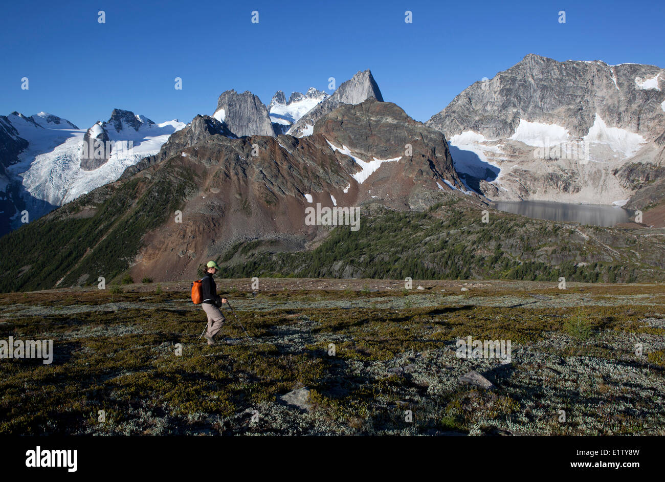 Hiker on Black Forest Ridge with Hound's Tooth Snowpatch Spire Howser ...