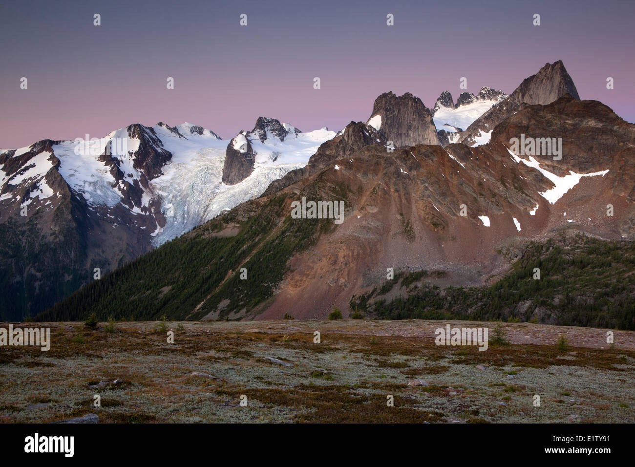 The Hound's Tooth Snowpatch Spire Bugaboo Spire Howser Towers Bugaboo ...
