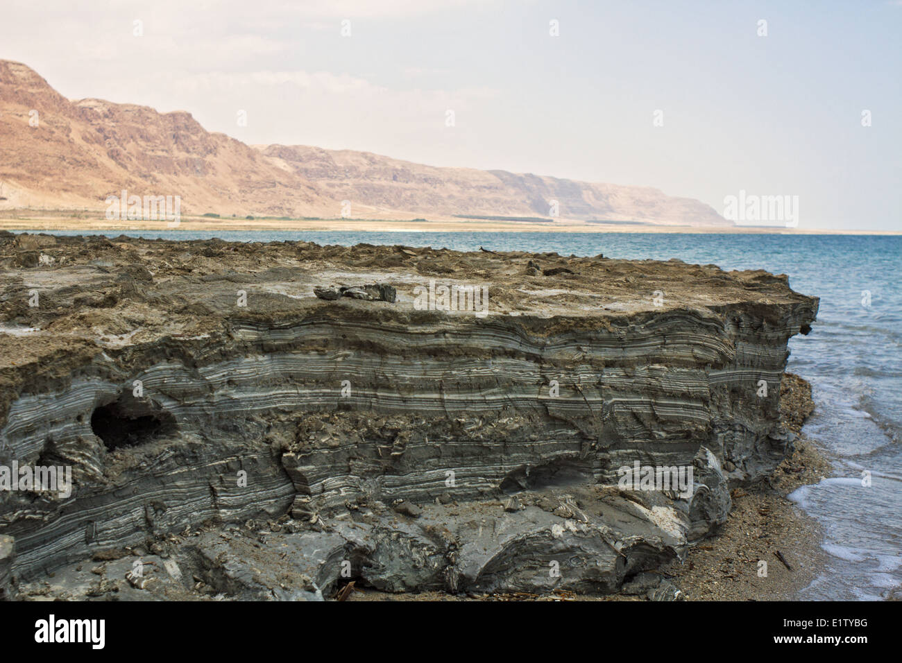 Dead Sea Mud on the coast of the Dead Sea , Israel Stock Photo - Alamy