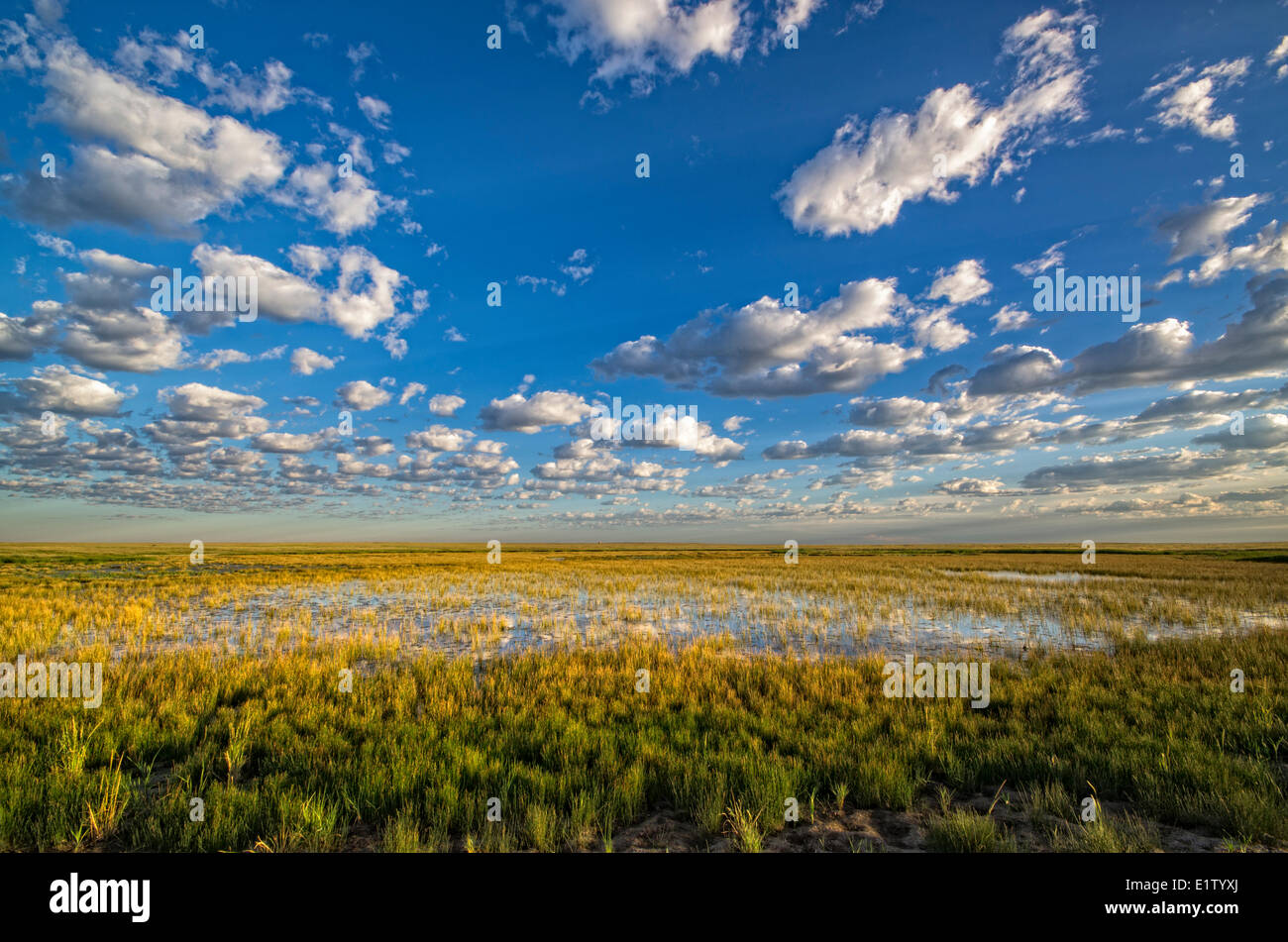 Prairie scene at sunrise in Alberta, Canada Stock Photo - Alamy