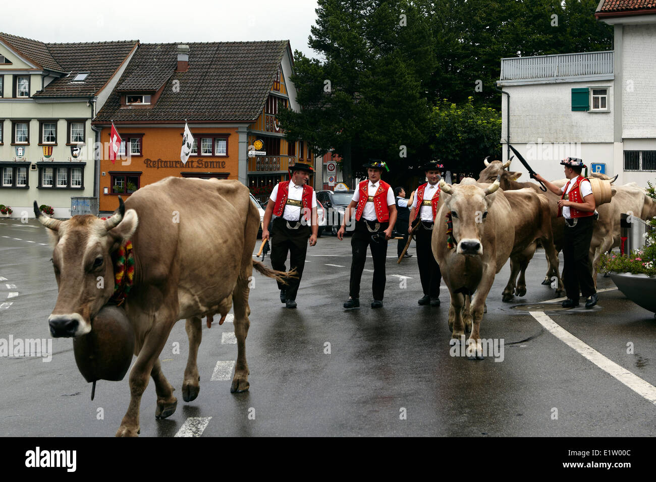 Swiss traditional costume cow hi-res stock photography and images - Alamy
