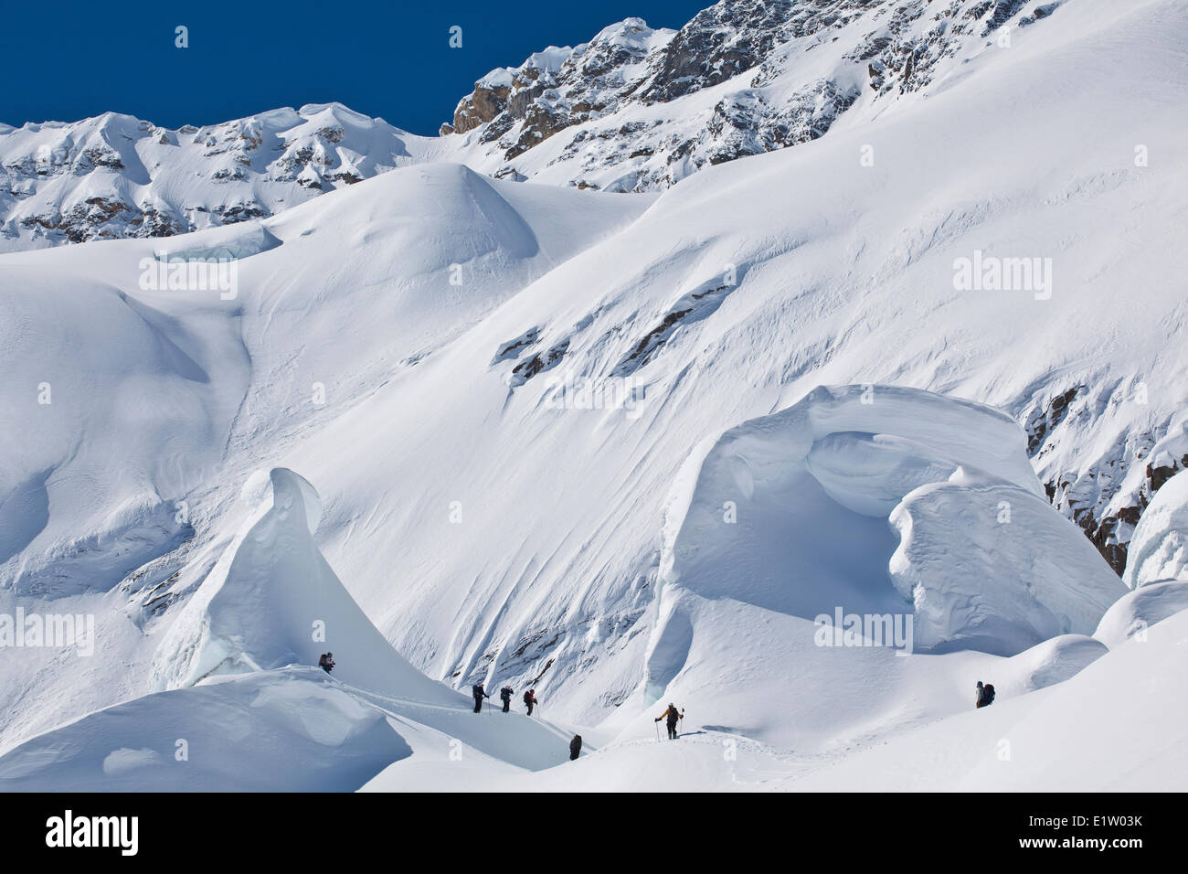 A group ski touring up the Diamond Glacier, Icefall Lodge, Golden, BC ...