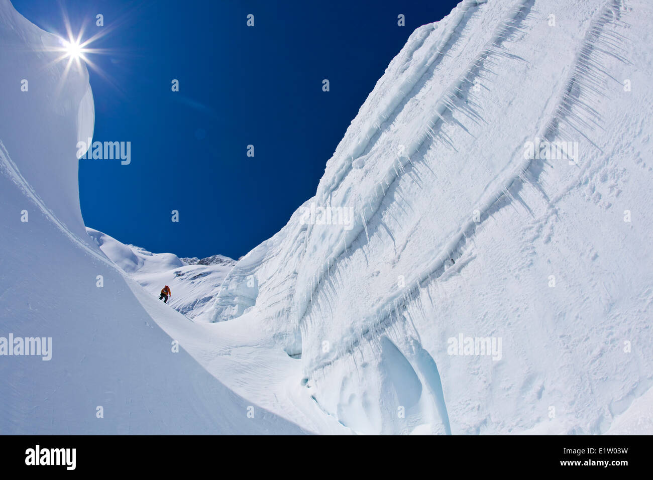 A backcountry skier touring up a heavily crevassed glacier at Icefall ...