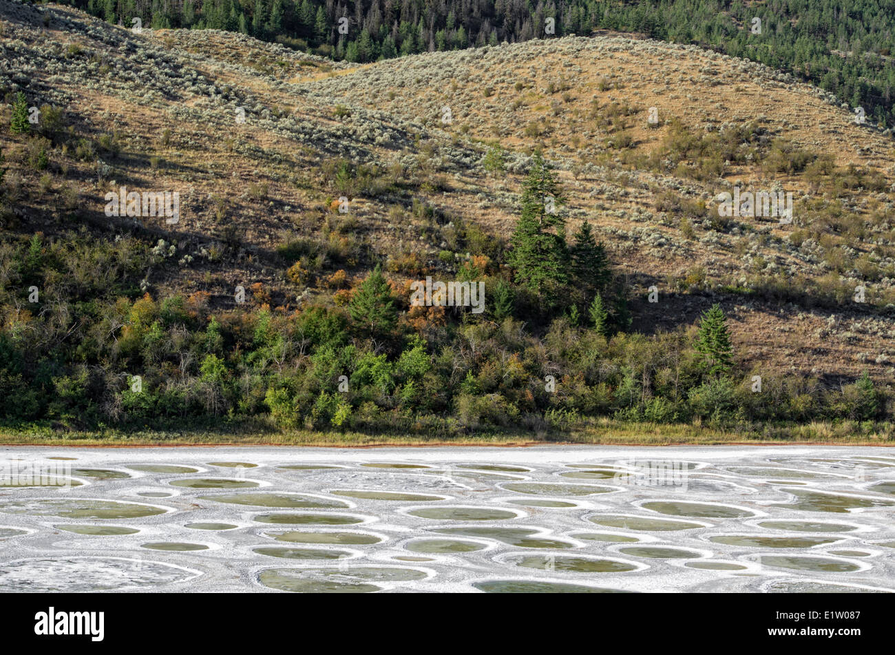 Spotted Lake near Osoyoos, Okanagan Valley, British Columbia, Canada ...
