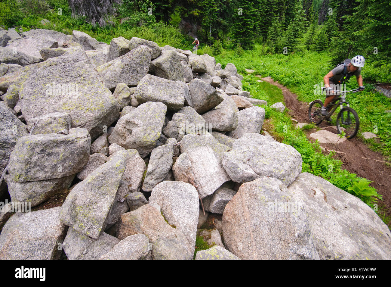Mountain biking along the Seven Summits trail in Rossland. Kootenay ...