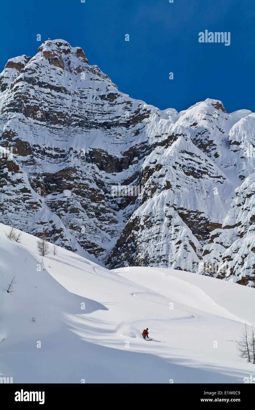 A male backcountry skier on tele skis find deep powder on a bluebird ...