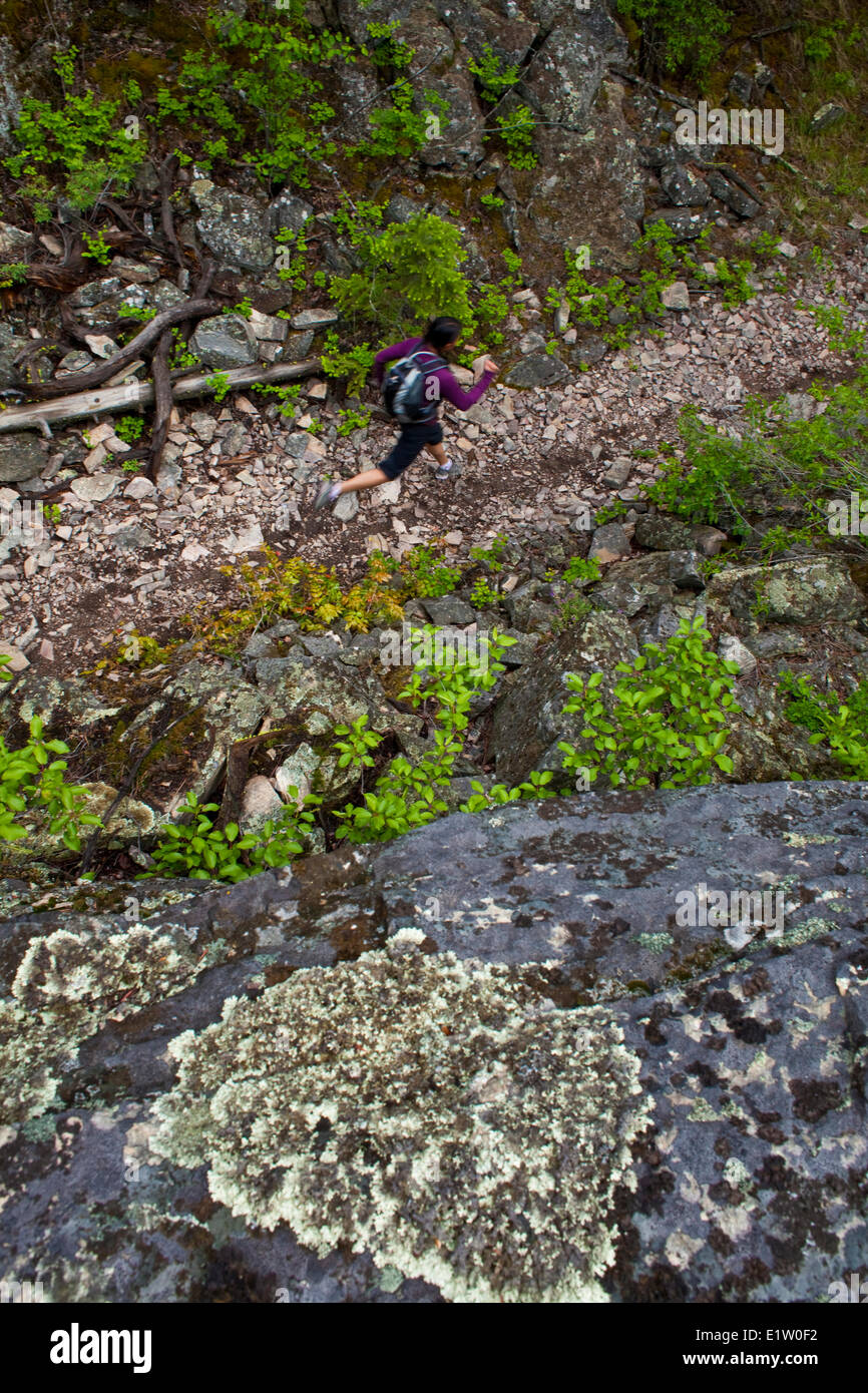 A young asian woman trail running in the 3 Blind Mice trail system ...
