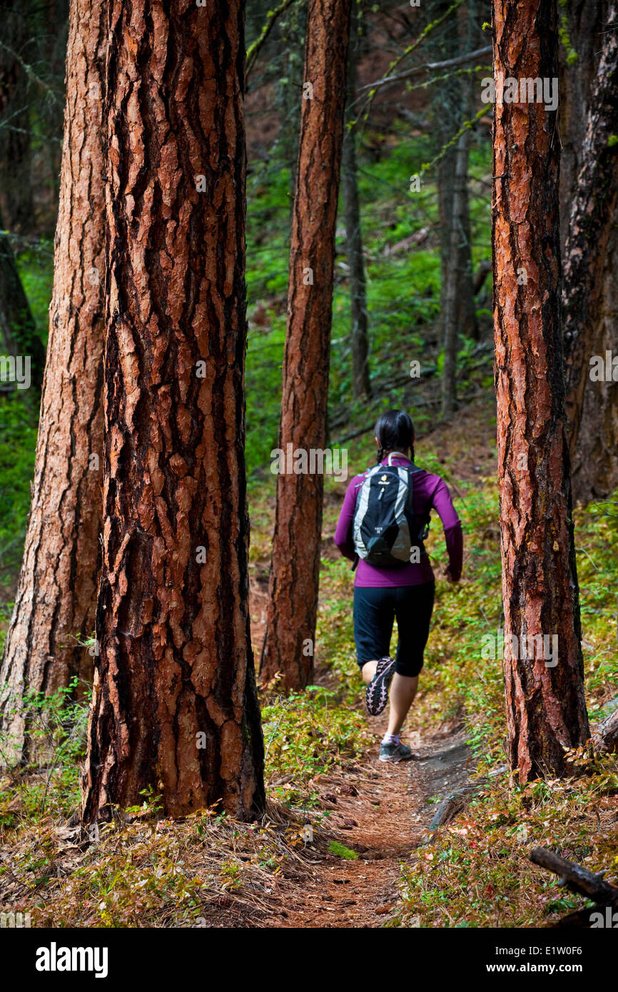 A young asian woman trail running in the 3 Blind Mice trail system ...