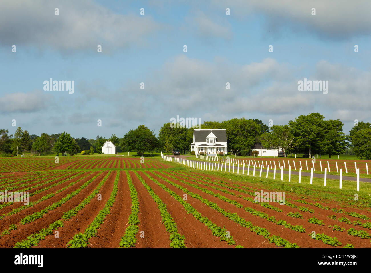Brae island hi-res stock photography and images - Alamy