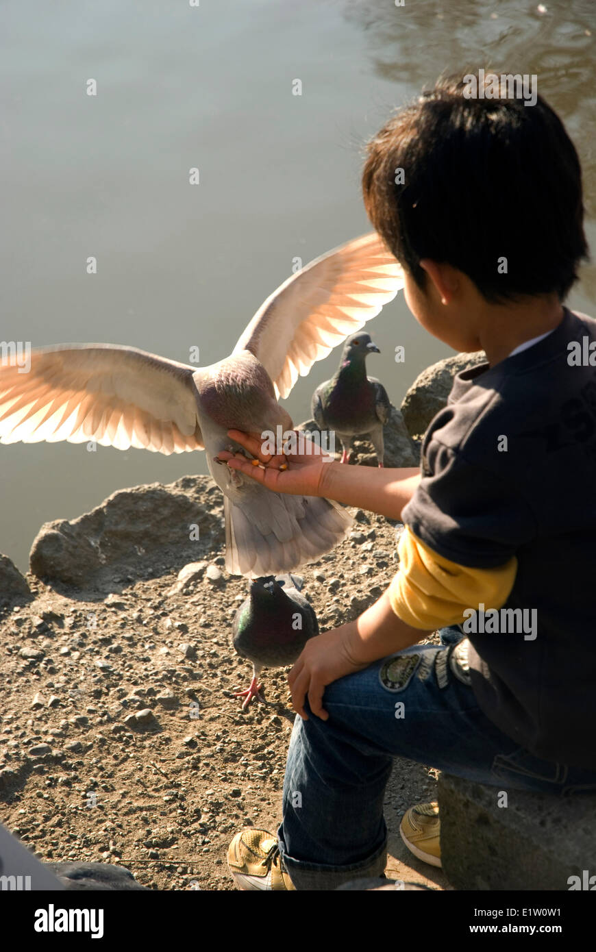 Shinto festival children hi-res stock photography and images - Alamy