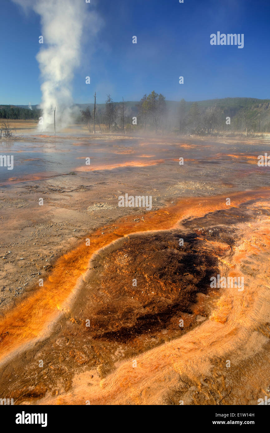 Yellowstone geothermal pools hi-res stock photography and images - Alamy