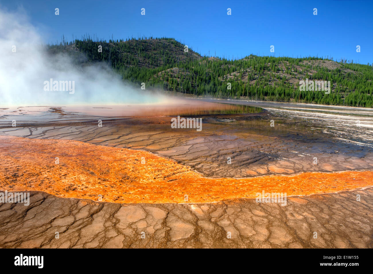 Thermophilic Algae in Grand Prismatic Spring, Midway Geyser Basin ...