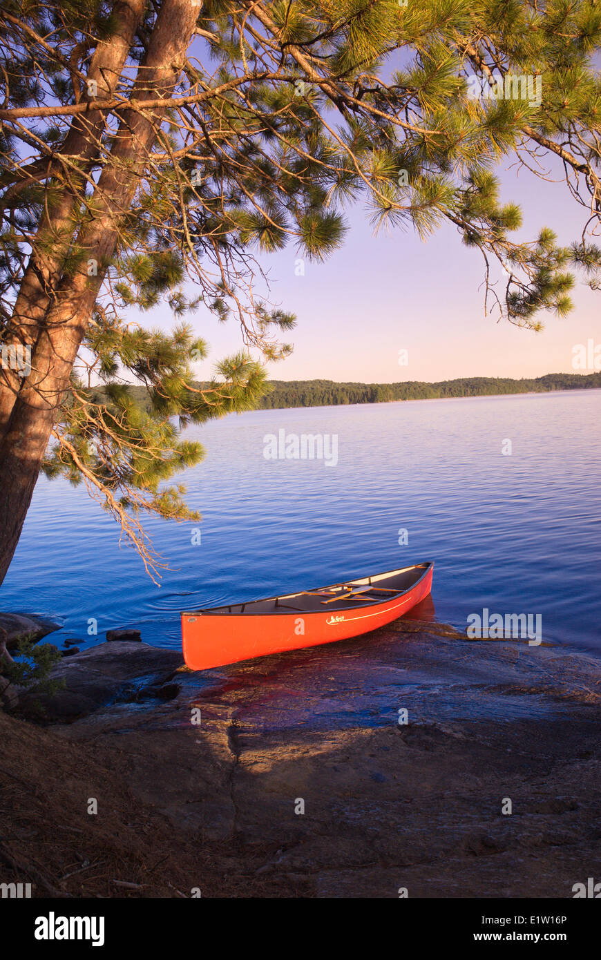 Lake Opeongo, Algonquin Park, Ontario Stock Photo - Alamy