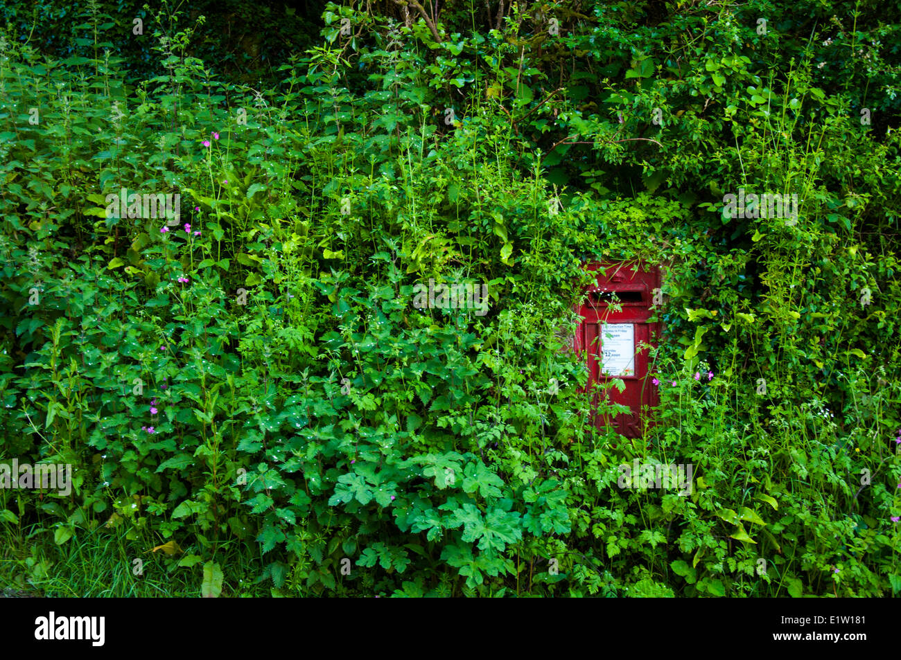 Saint kew cornwall hi-res stock photography and images - Alamy