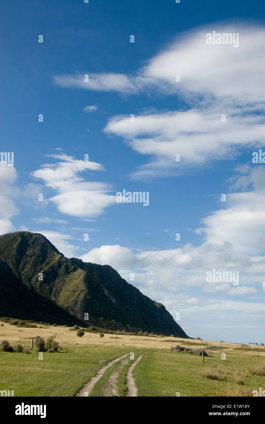 Track across field, Cape Palliser, Wairarapa, North Island, New Zealand ...