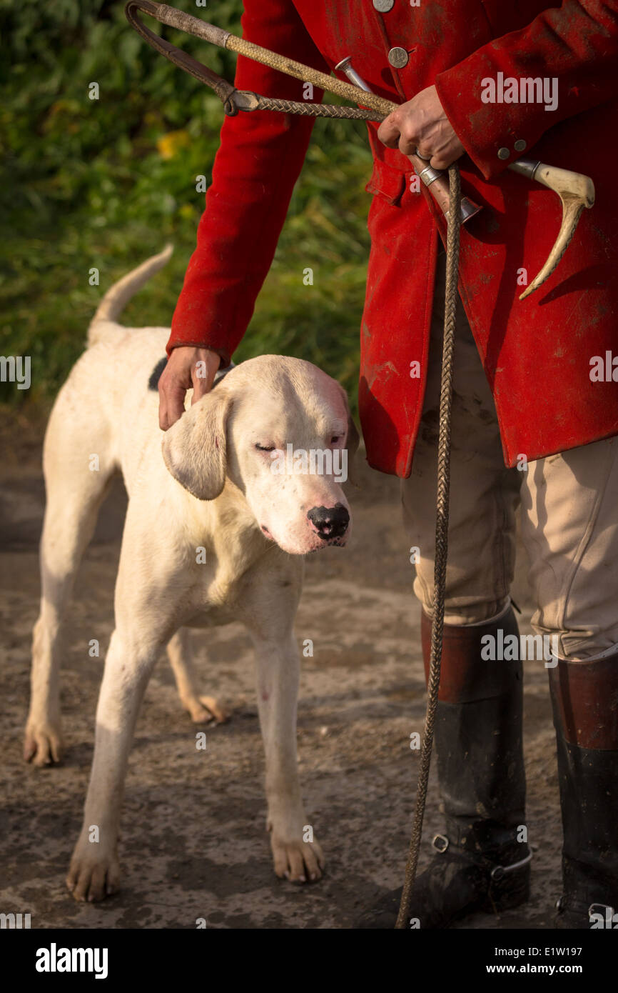 Huntsman and Hound Stock Photo - Alamy