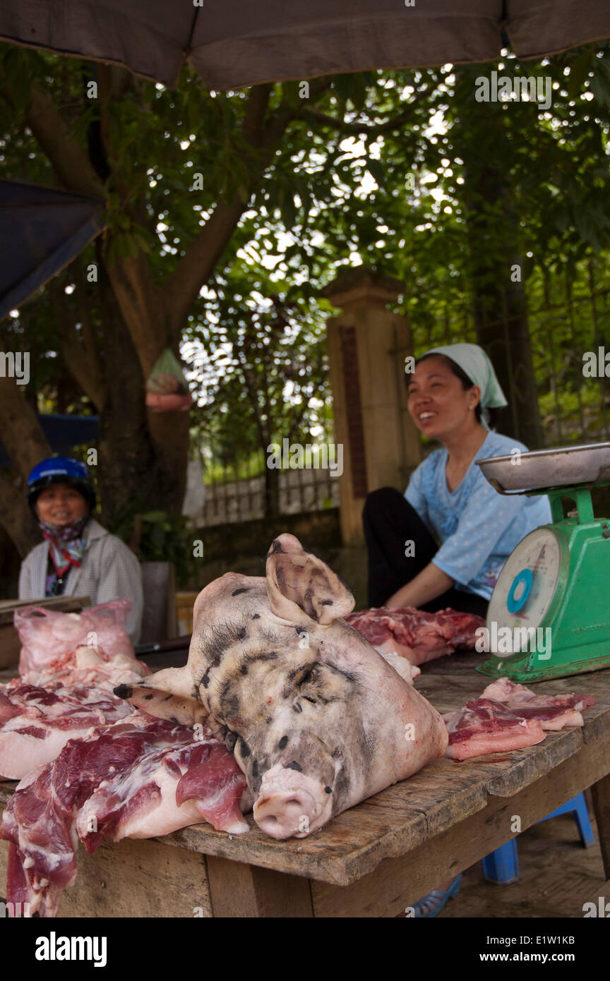 Sapa animal hi-res stock photography and images - Alamy