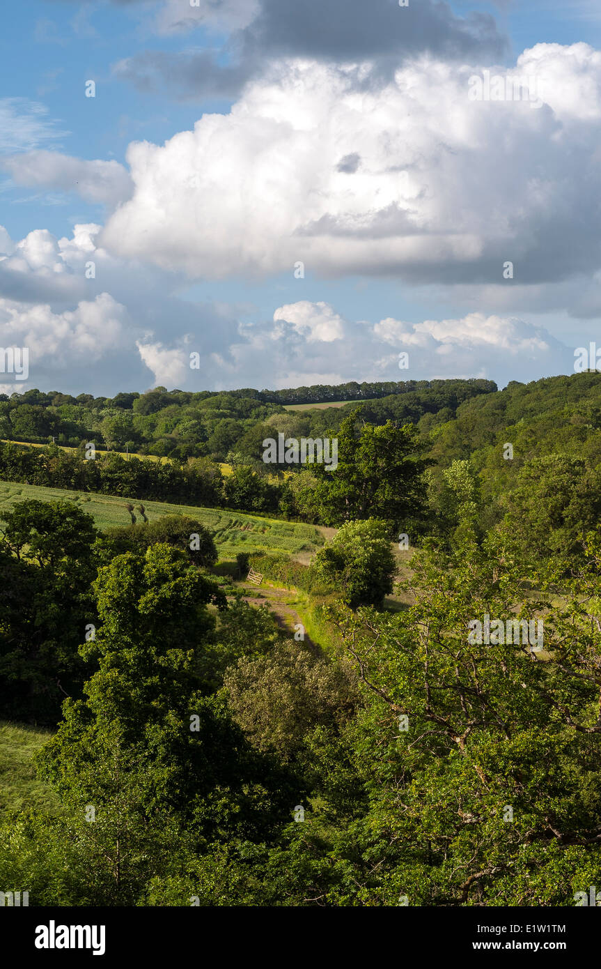 devon parish of Holcombe Burnell,english, rolling, uk, devon, farm ...