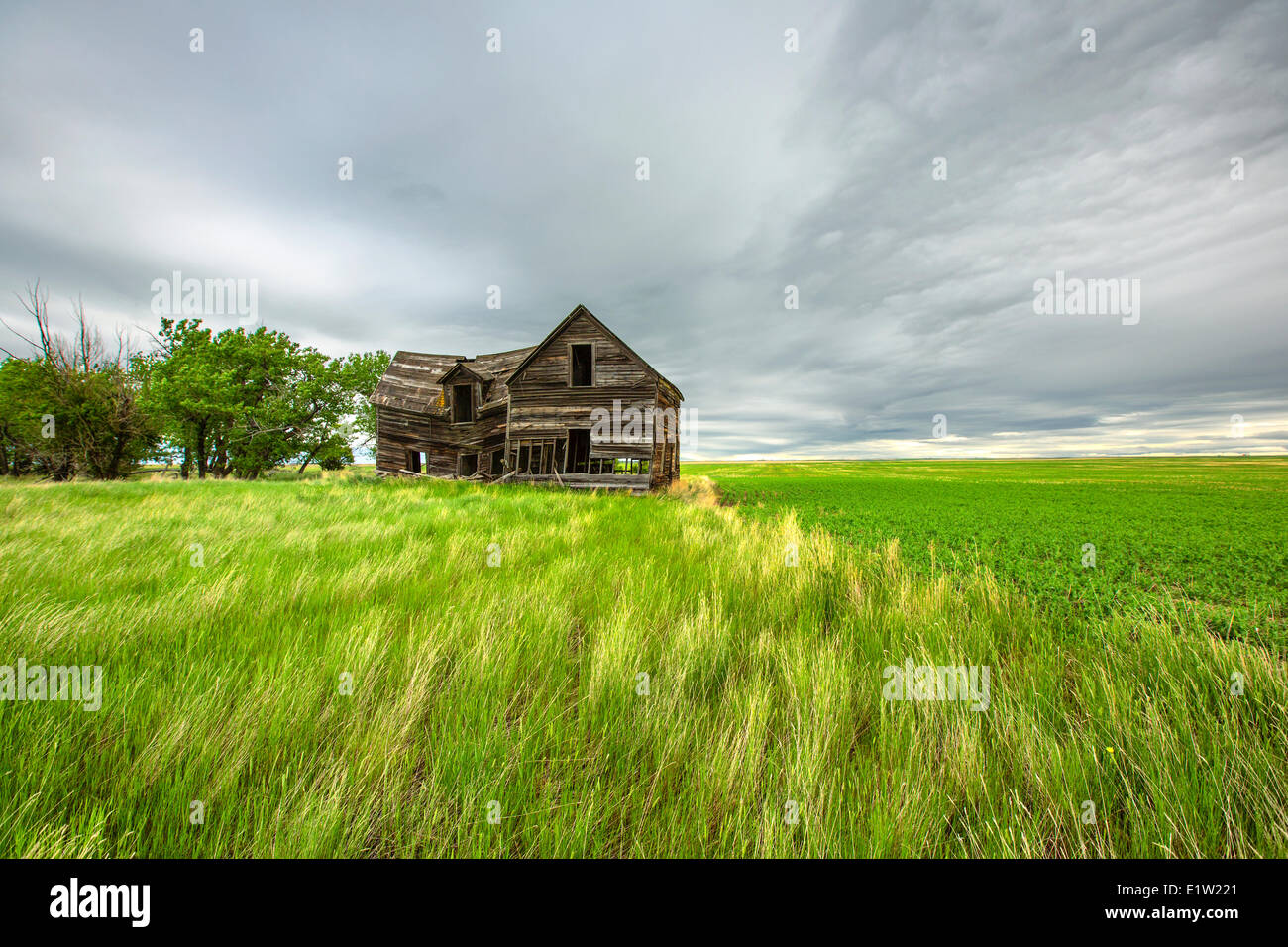 Foremost hi-res stock photography and images - Alamy