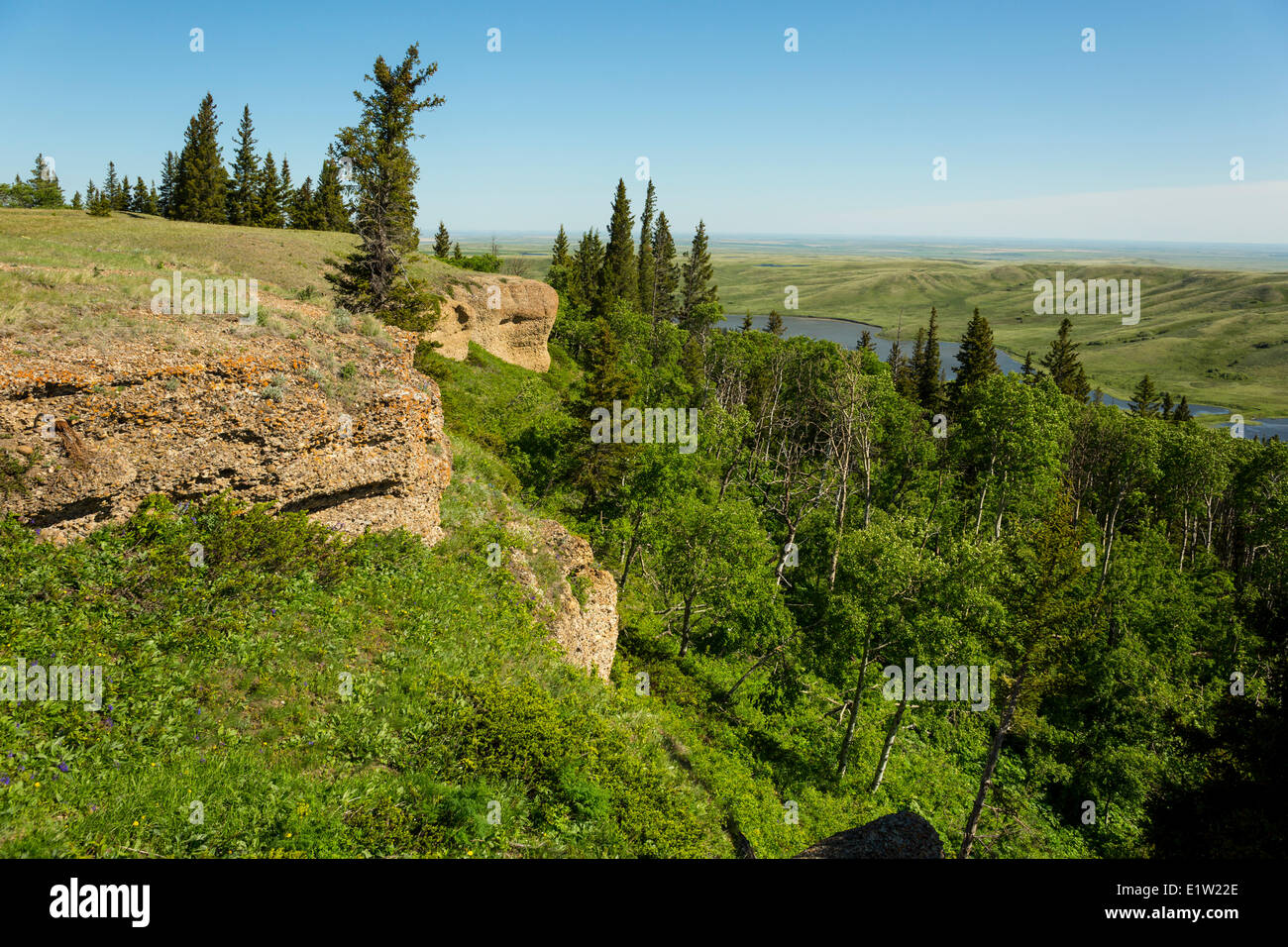 Conglomerate Cliffs, Cypress Hills Interprovincial Park, Saskatchewan ...