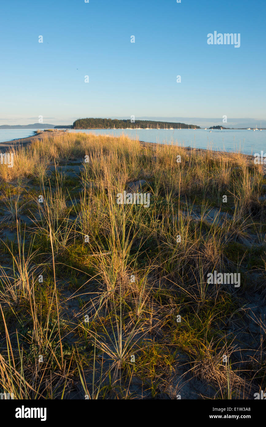 Sidney Spit, Sidney Island, Gulf Islands National Park, British ...
