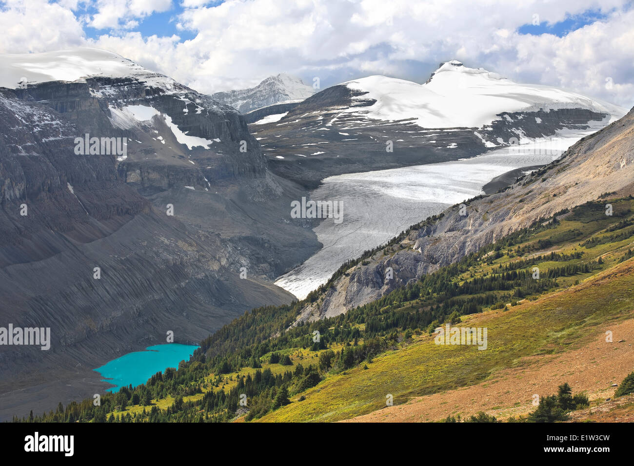 Columbia icefield hi-res stock photography and images - Alamy