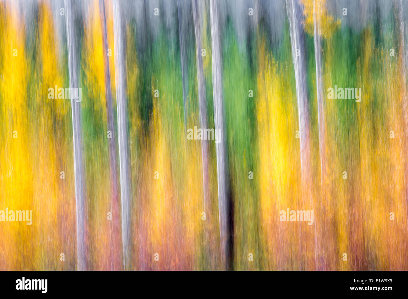 Panning photograph hi-res stock photography and images - Alamy