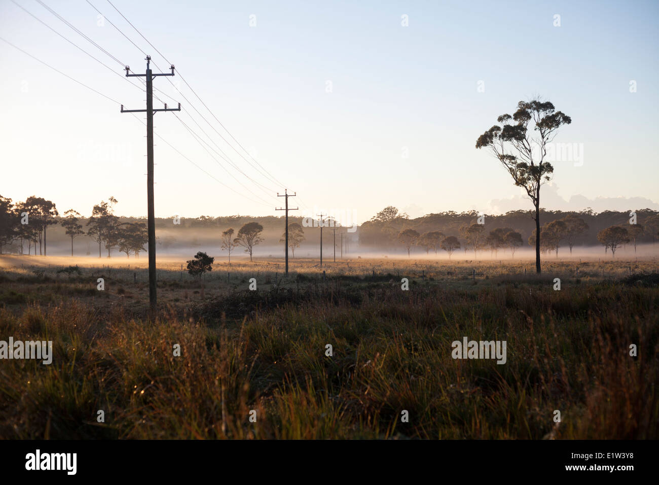 Power lines farm hi-res stock photography and images - Alamy