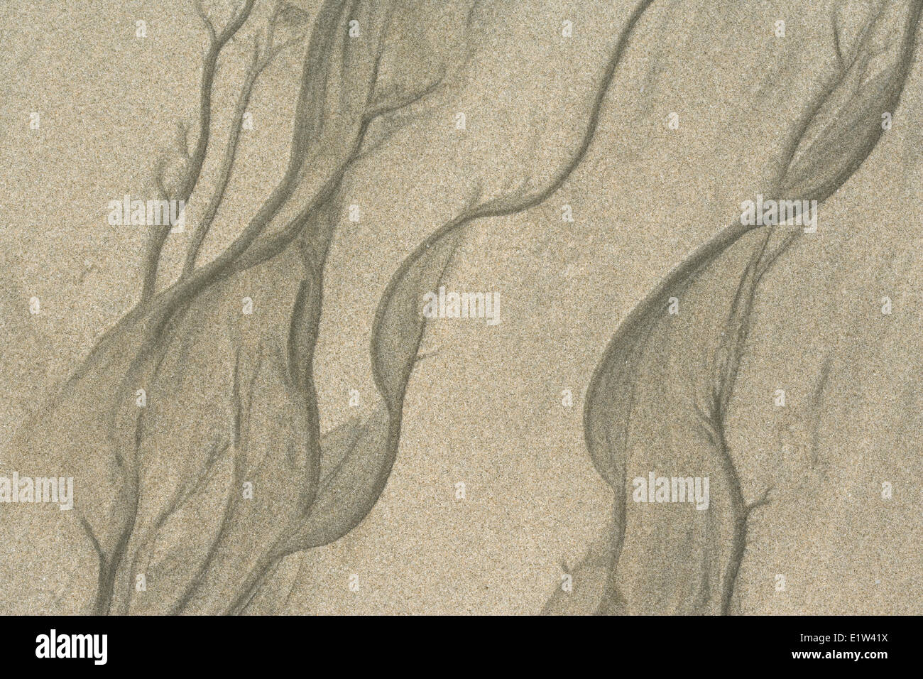 Costa rica pattern hi-res stock photography and images - Alamy