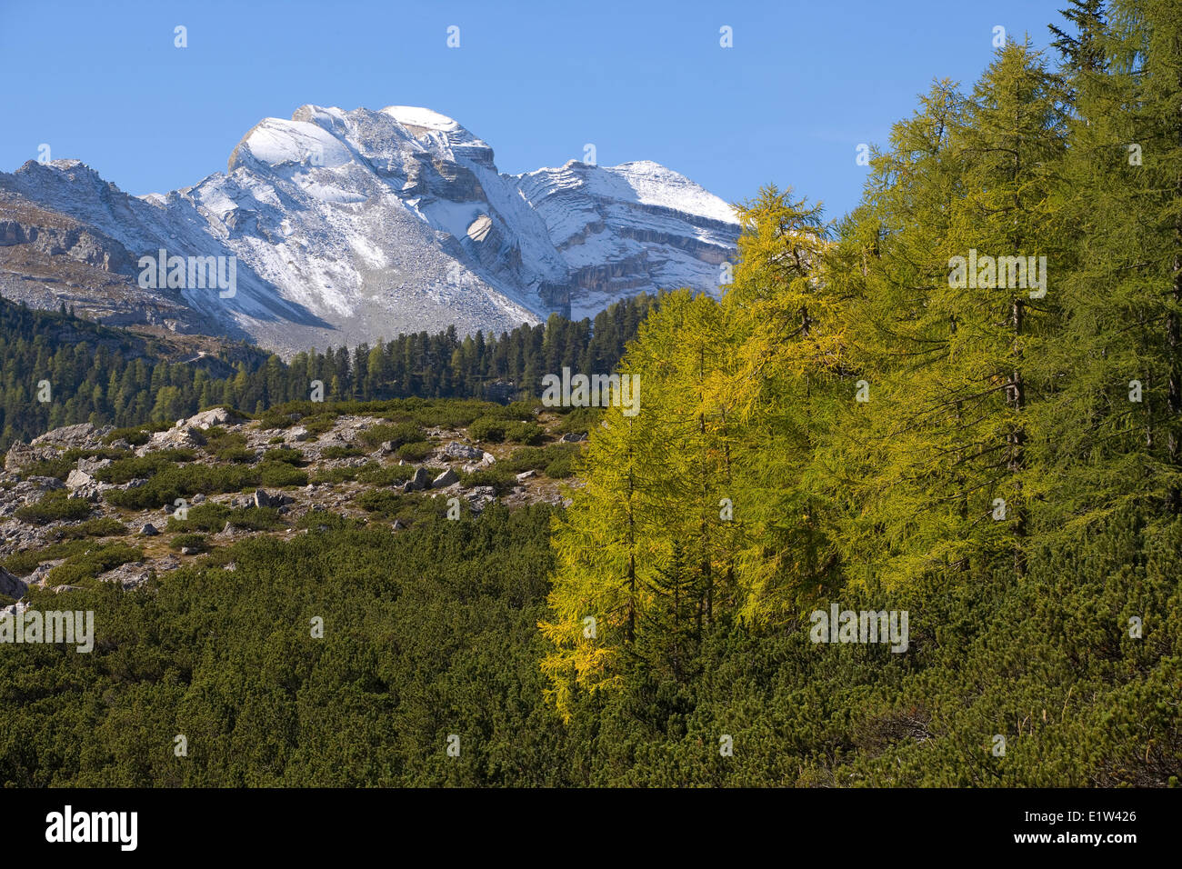 Autumn Colors in the Dolomites, Italy Stock Photo - Alamy